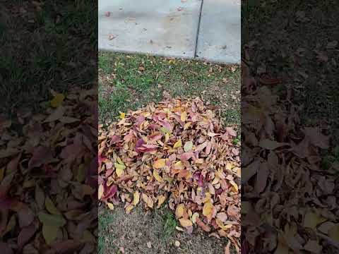 Fall Season in USA