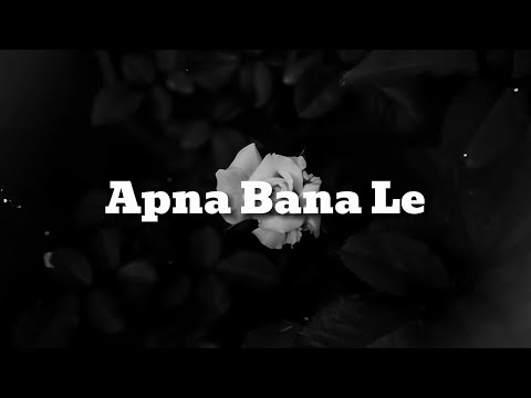 Apna Bana Le - Bhediya | English Translation | Sachin-Jigar, Arijit Singh, Amitabh B | Lyrical