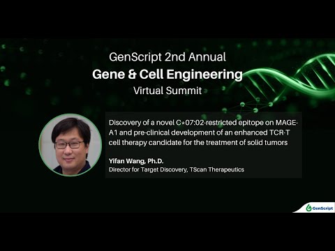 Discovery of a novel C*07:02-restricted epitope on MAGE-A1