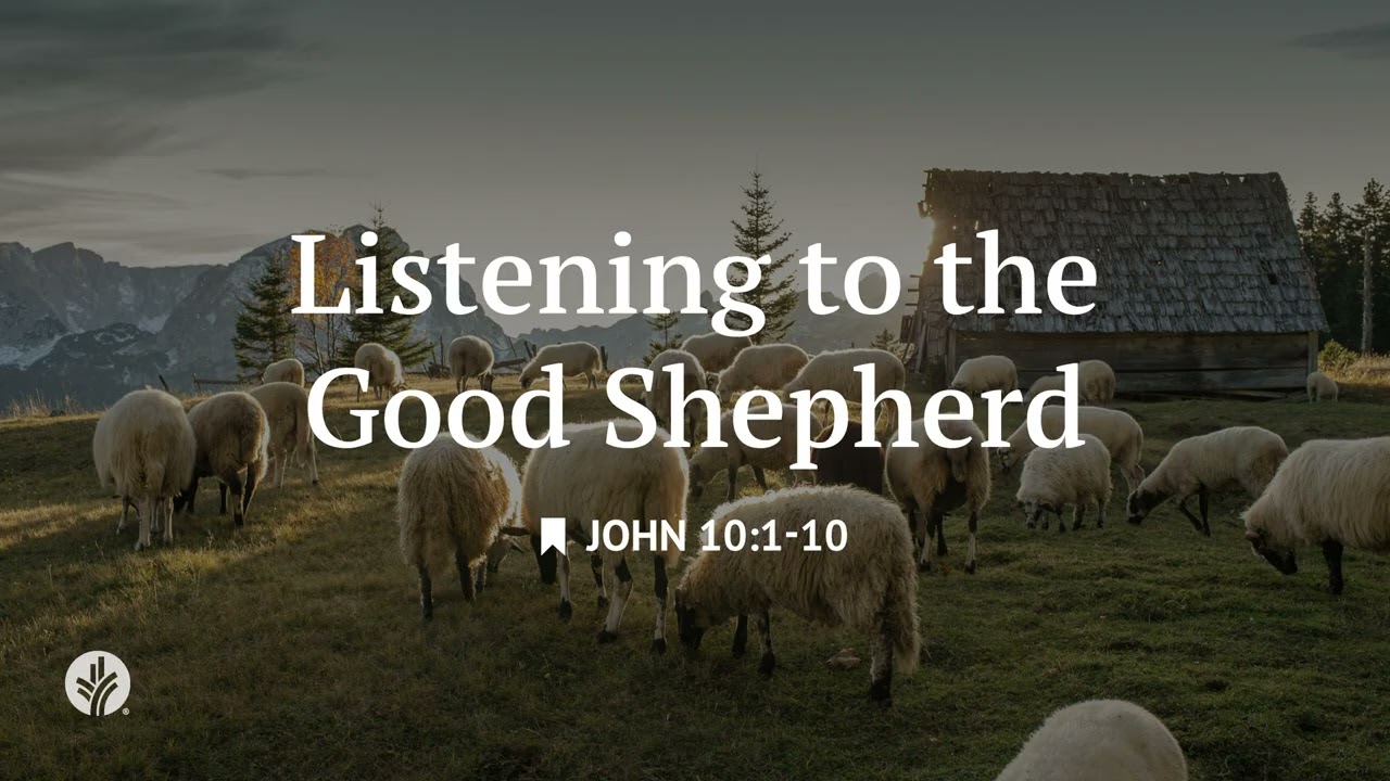 Listening to the Good Shepherd | Audio Reading | Our Daily Bread Devotional | May 16, 2026