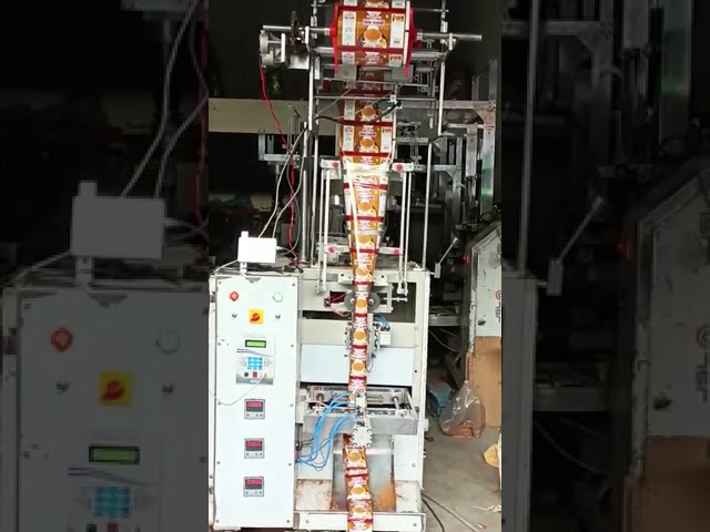 Pouch Packing Machine - MS FFS Pouch Packing Machine Manufacturer from ...