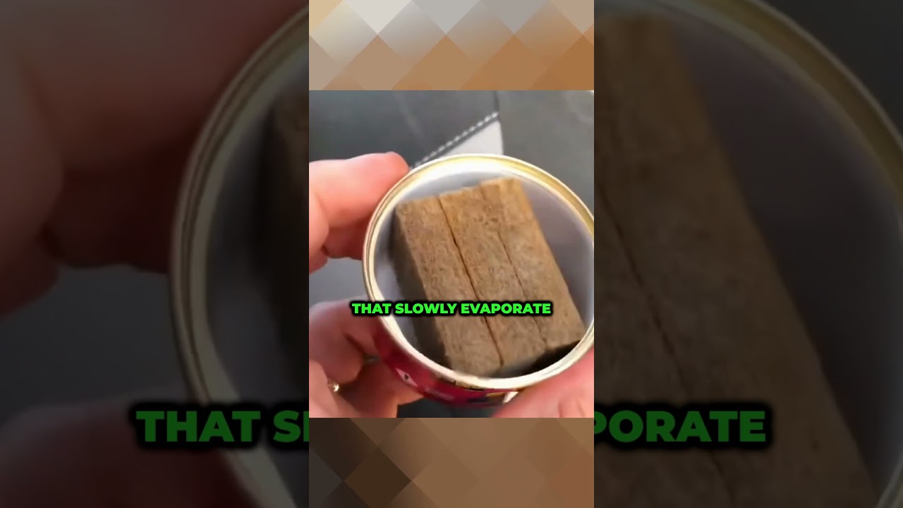 Cherry Car Scents #automobile #vehicletech #cargadgets #autogadgets