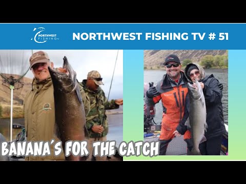 Upriver Columbia Salmon with The Fallen Outdoors & Bananas on Roesiger | Northwest Fishing TV #51