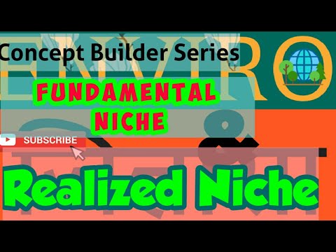 Fundamental and Realized Niche (Concept Builder Series #2)
