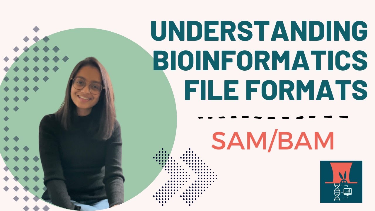 Understanding Bioinformatics File Formats: SAM/BAM