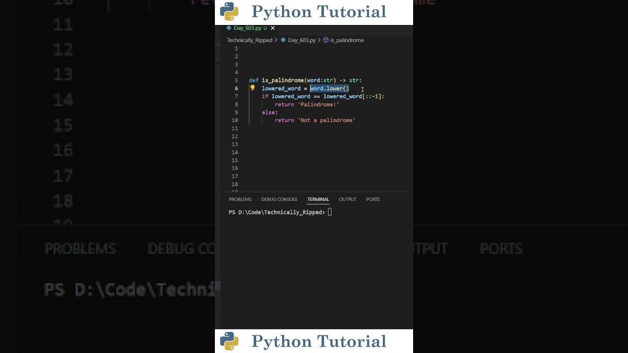 Finding Palindromes With Python | Python Tutorial
