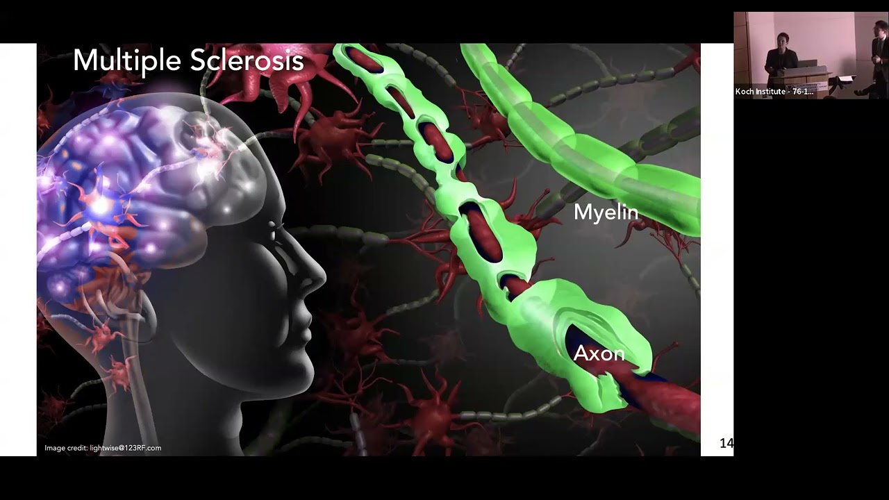 Astrocyte Highways: 2022 Image Awards Winner