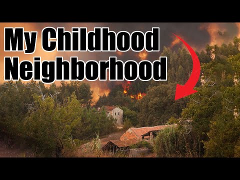 This Invasive Species Caused The Most Costly Fire In California History