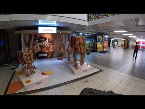 OR Tambo Airport Johannesburg Arrivals From Aircraft to Arrivals Terminal