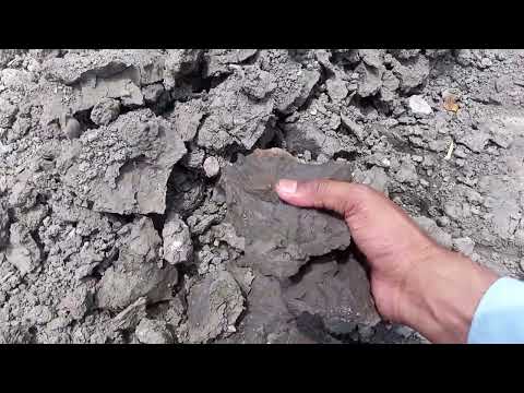 Black Soil || Regur Soil || Self ploughing Soil