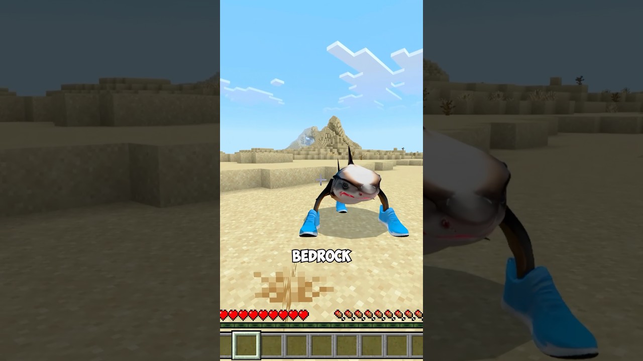 Why Java Mods Are So Much Better Than Bedrock Mods? #minecraft