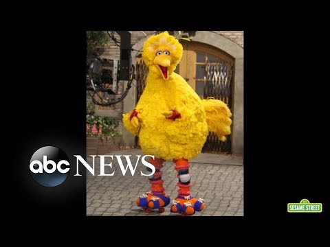 ProgressVideo.TV: The man behind Big Bird retires from 'Sesame Street ...