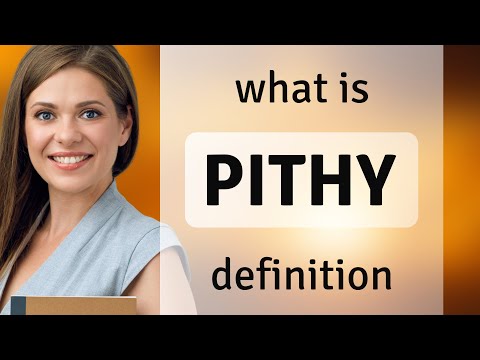 Pithy • PITHY definition