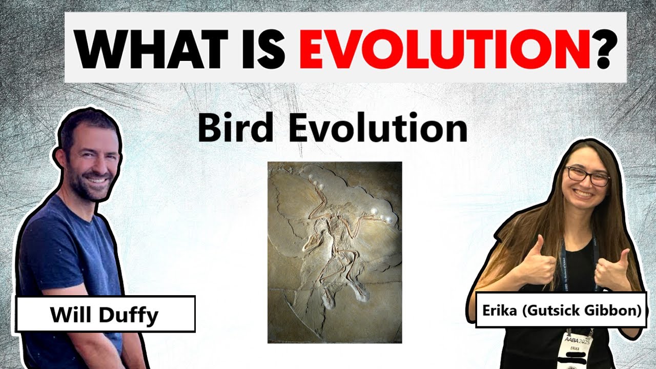 Teaching Famous Creationist Will Duffy Evolutionary Theory (LIVE) Evolutionary Case Studies: Birds