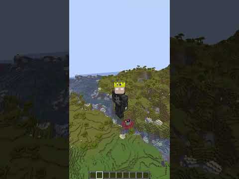 How To Use The Pie chart to find bases