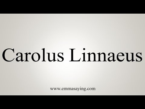 How To Say Carolus Linnaeus