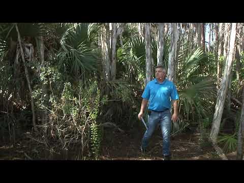 1913 Holyoke Ave. Lehigh Acres, FL. 33972 - Item - 699257