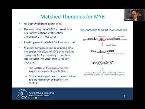 Identifying Therapeutic Strategies for ACC Through Tumor Profiling