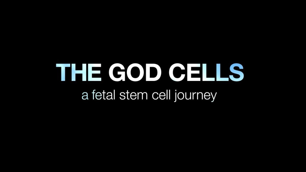 The God Cells | Ukraine: Fetal Stem Cell Pioneers by Eric Merola ...