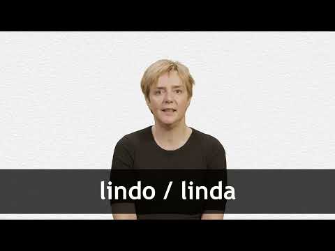 English Translation of “LINDO” | Collins Spanish-English Dictionary