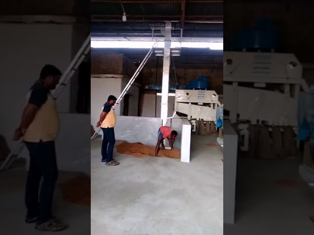 Paddy Seed Grader Machine - Paddy Grading Machine Manufacturer from Ambala