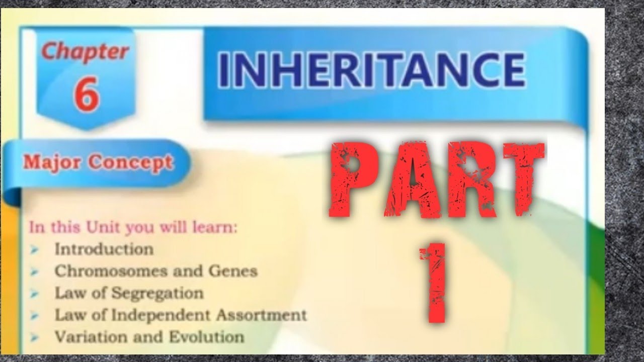 chapter 6 inheritance part 1