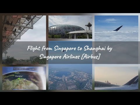 Flight from Singapore to Shanghai by Singapore Airlines [Airbus] / 新加坡航空从新加坡飞往上海 [空中巴士]