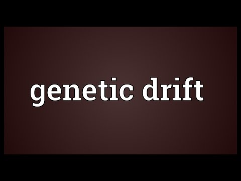 Genetic drift Meaning