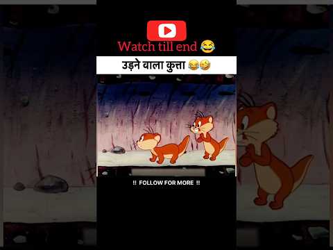 Flying dogππ|#shorts #trending #cartooncomedy #cartoonlovers #cartoon