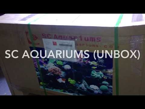 SC Aquariums 100 gallon (unboxing/first look)