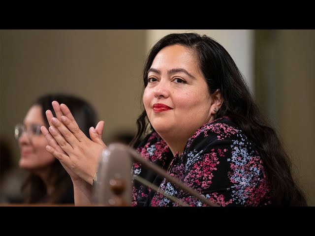 Who is Wendy Carrillo? All about the California Lawmaker who was ...