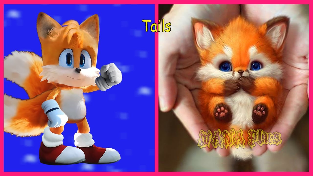 Sonic The Hedgehog In Real Life 💥 All Characters 👉@WANAPlus