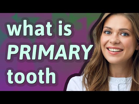 Primary tooth | meaning of Primary tooth