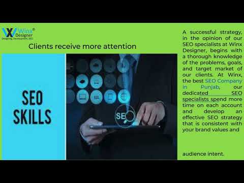 SEO Consultant Punjab