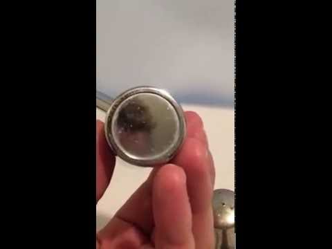 2 Antique Bird Water Whistles. One Ludwig one?