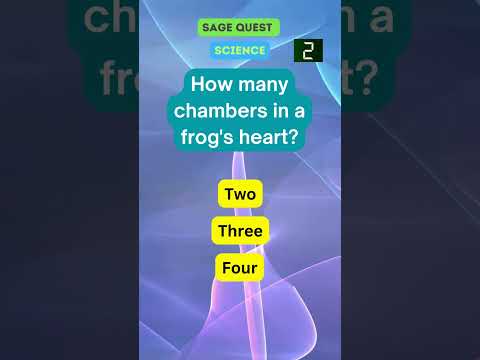 Frog's Heart: Chamber Count!