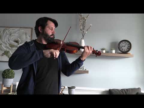 Gorgeous Flame Geist Violin 1969 OBO | Reverb