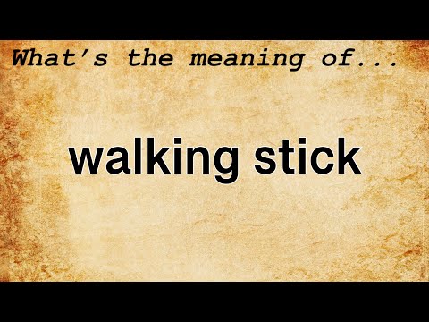 Walking Stick Meaning : Definition of Walking Stick