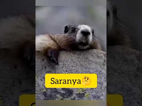 Name art voice trending Saranya