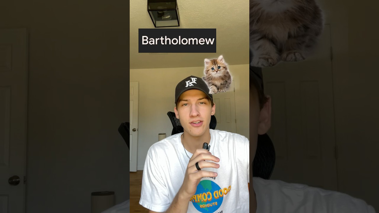 IS YOUR CAT’S NAME UNIQUE? #viral