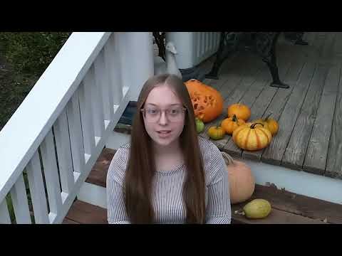 Sydney Fisher - How Online School Works as an IVLA Student