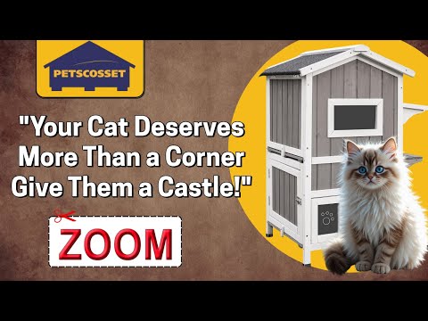 Petscosset store Sent Us a Cat House… Here's What Happened! (Use Coupon Code (ZOOM) ✅