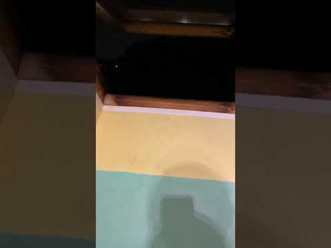 A Wet Cat