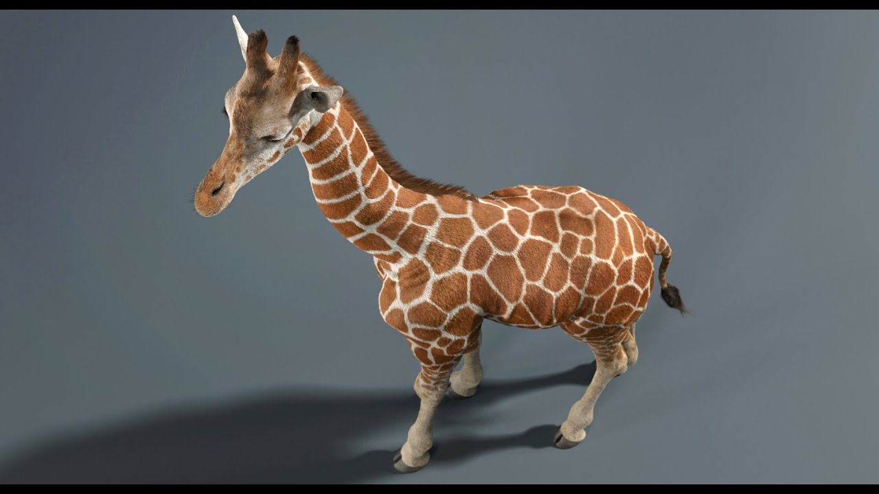 Giraffe Rig & Animation