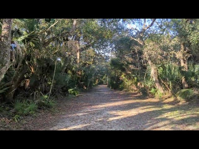 Whitney Lab 5K | Visit St. Augustine