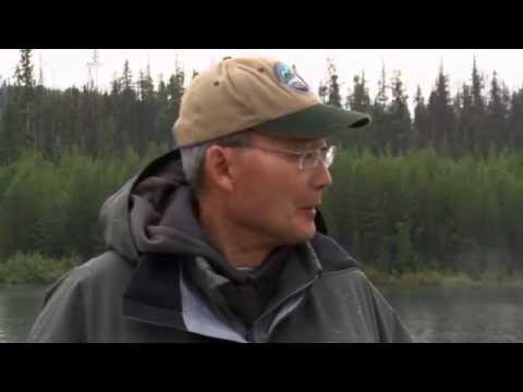 All about the research of the Freshwater Fisheries Society of BC