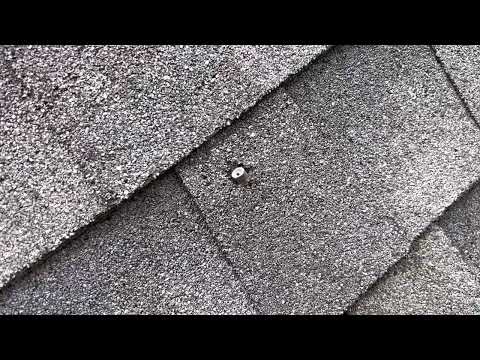 Bullet Lodged in Roof | Professional Engineering Inspections, Inc.