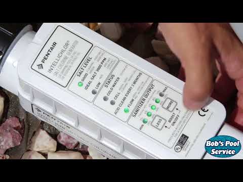 Chlorinators at Best Price in India