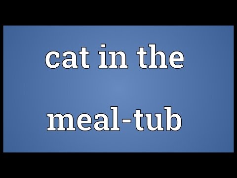 Cat in the meal-tub Meaning