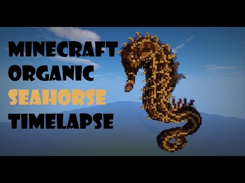 Minecraft- Organic Seahorse Build Minecraft Map